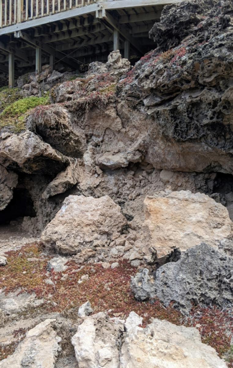 Admirals Arch Case Study: Designing & constructing a world-class ecotourism experience in ...