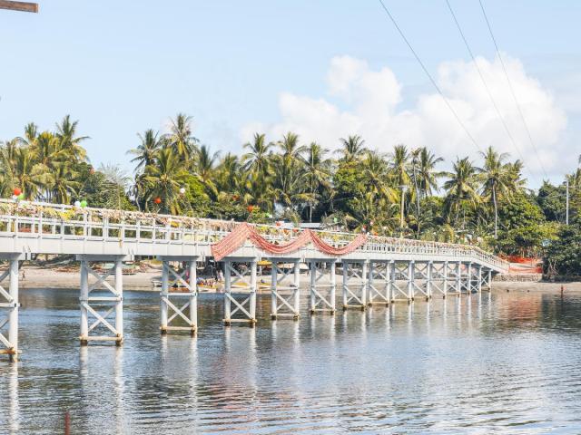 Engineering Resilience in Marine Environments: A Closer Look at Wagners ...