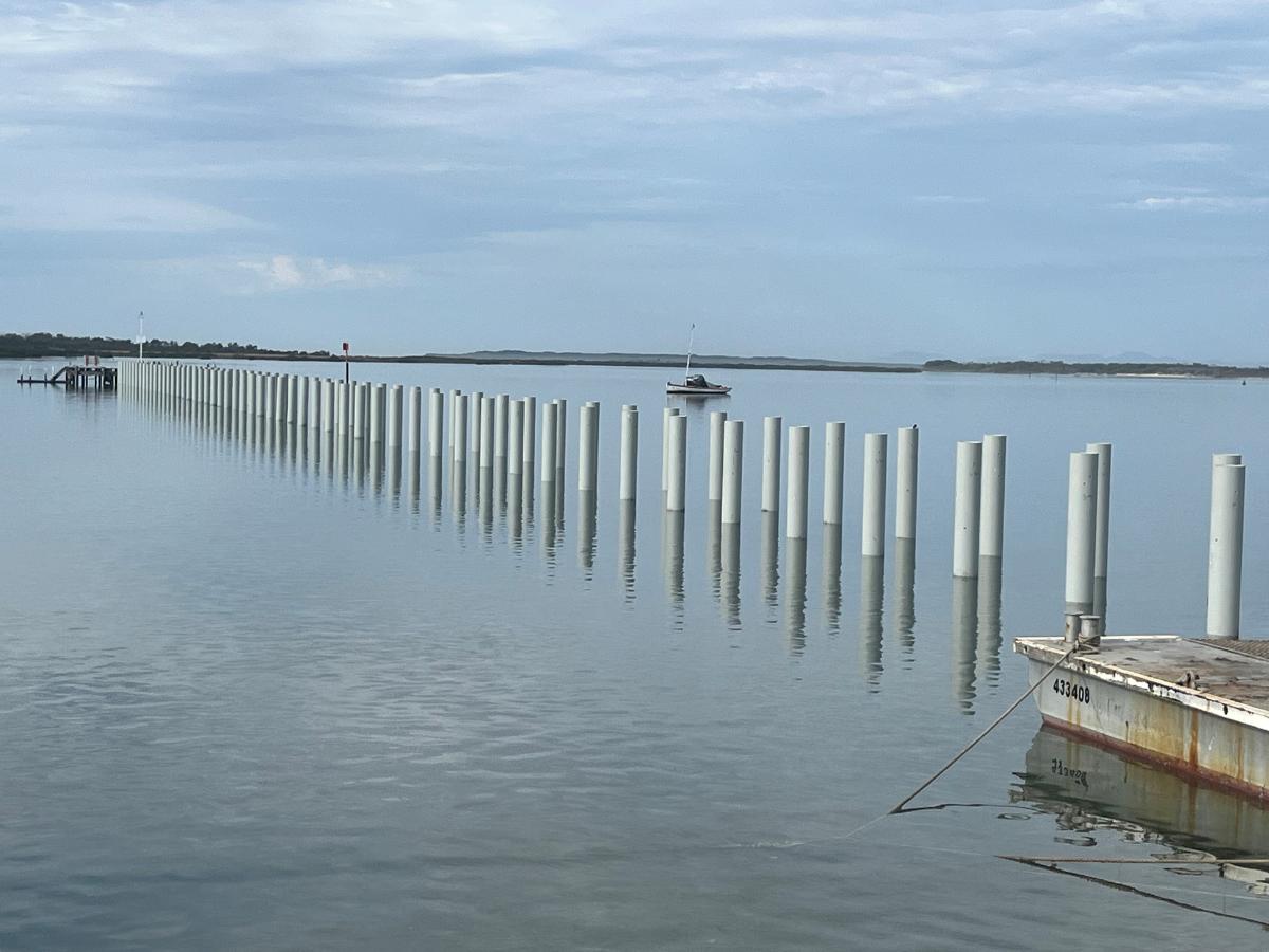 Engineering Resilience in Marine Environments: A Closer Look at Wagners ...